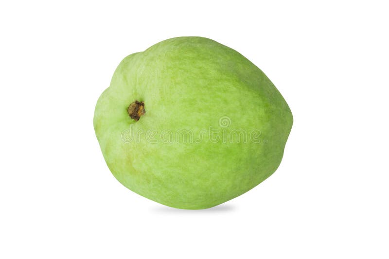 Fresh Guava Fruit Isolated on White Background, Healthy Concept Stock ...