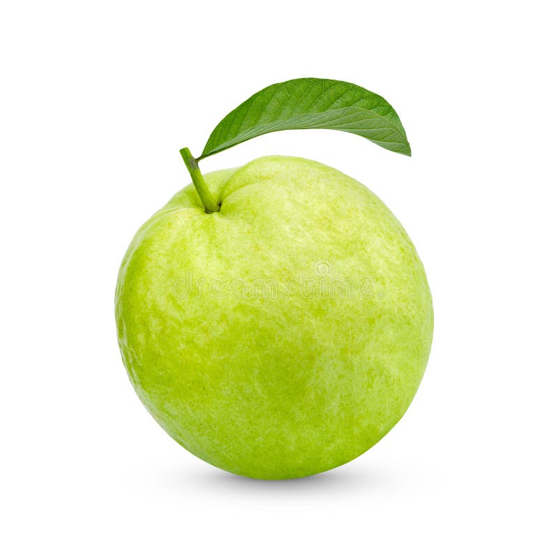 Fresh Guava Fruit with Leaves Isolated on White Background Stock Photo ...