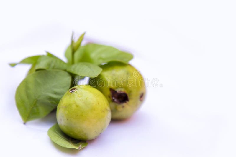 Fresh Guava with Leaf on White Background. Stock Image - Image of food ...