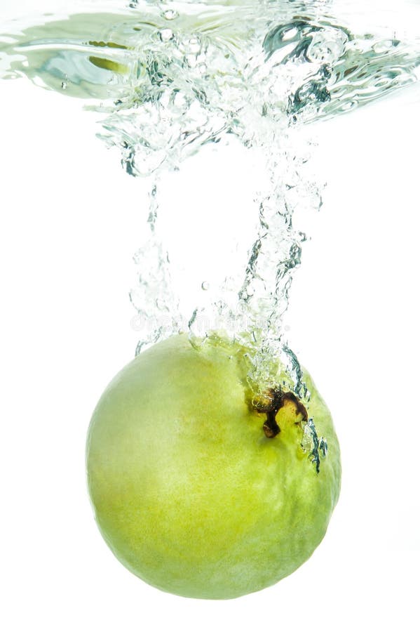 247 Guava Splash Stock Photos - Free & Royalty-Free Stock Photos from ...