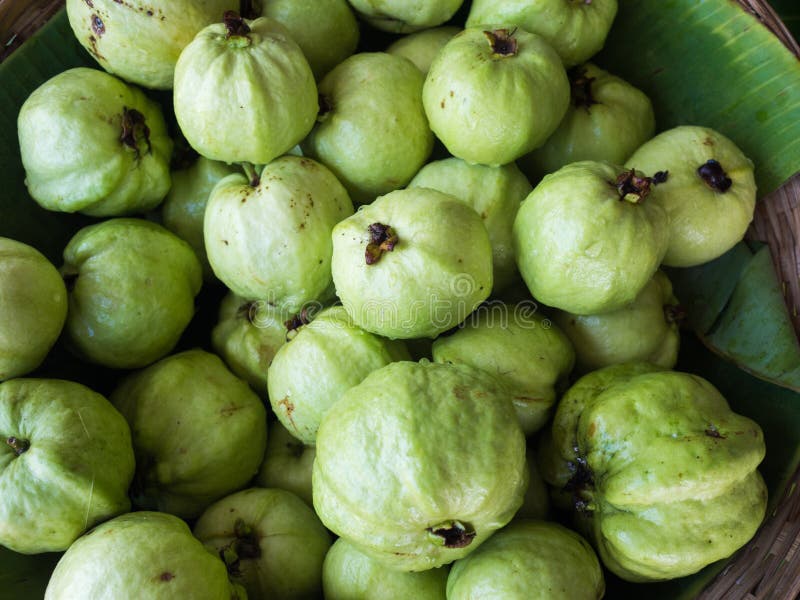 Fresh Guavas Fruit Sale in a Shop Stock Image - Image of organic, green ...