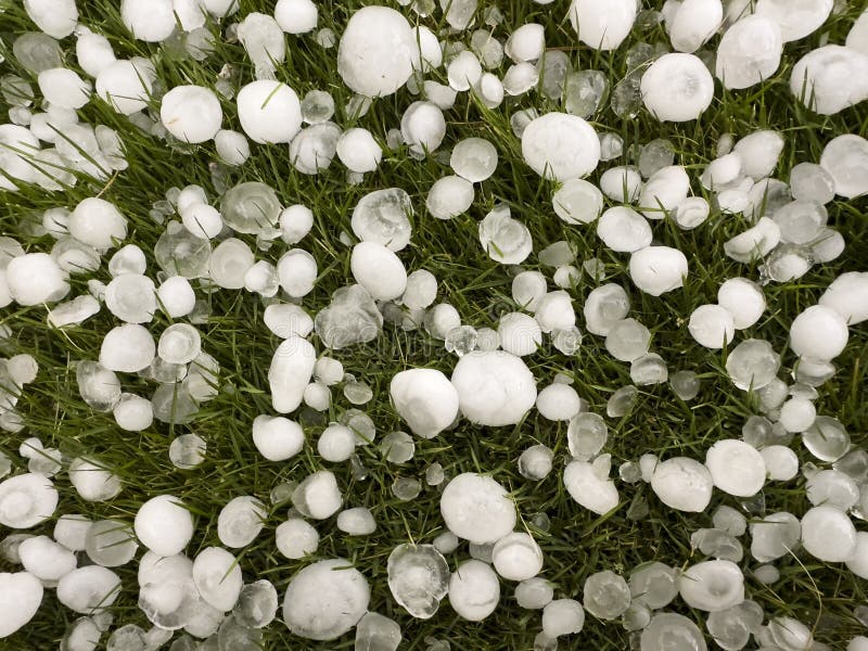 Fresh Hail Accumulation on Green Grass Close-up Stock Image - Image of ...