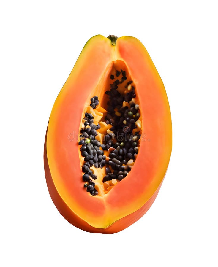 Fresh Half of Ripe Papaya Fruit with Seeds Stock Illustration ...
