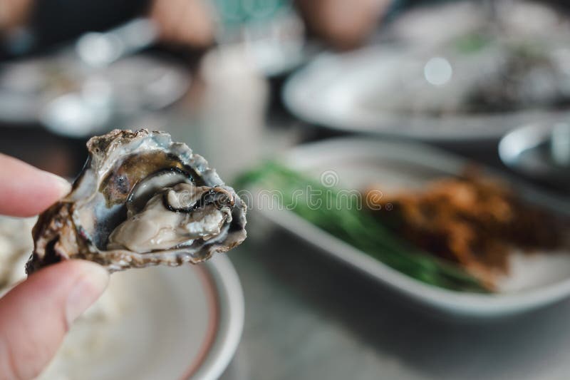 Fresh Half Shell Oyster in Hand Stock Image - Image of crustacean, cold ...