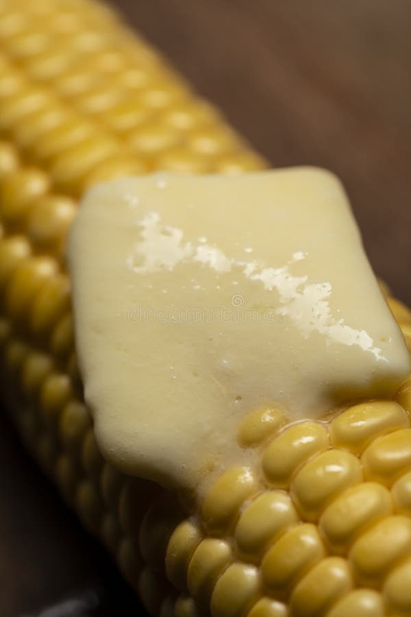 Fresh Hand-picked Corn on the Cob Stock Image - Image of curry, plant ...