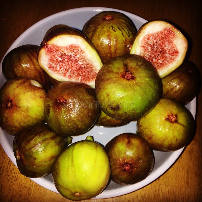 Fresh hand picked figs stock image. Image of figs, hand - 95792121
