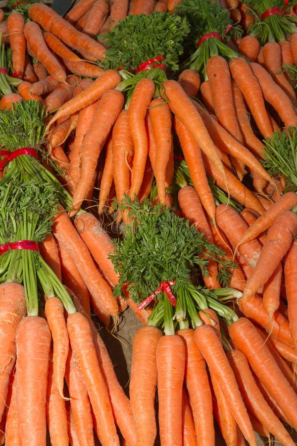 Food. Bundles Of Organic Carrots Stock Image - Image of vegetable ...