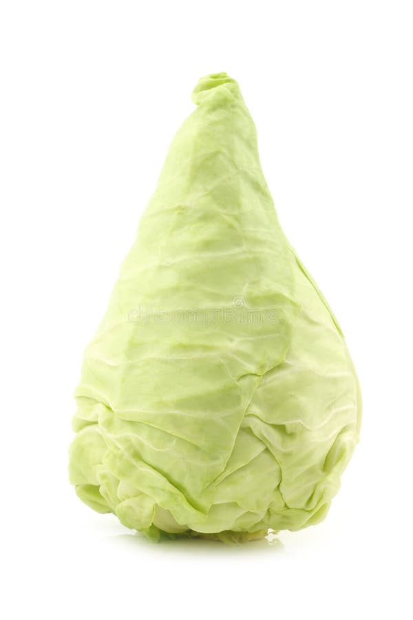 A Fresh Harvested Green Pointed Cabbage Stock Image - Image of ...