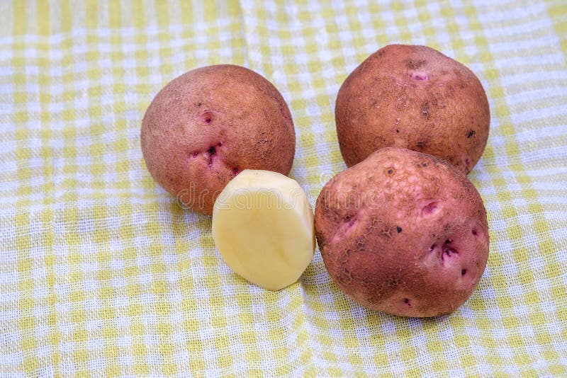 Fresh Harvested Potatoes on the Rustic Table Stock Photo - Image of ...