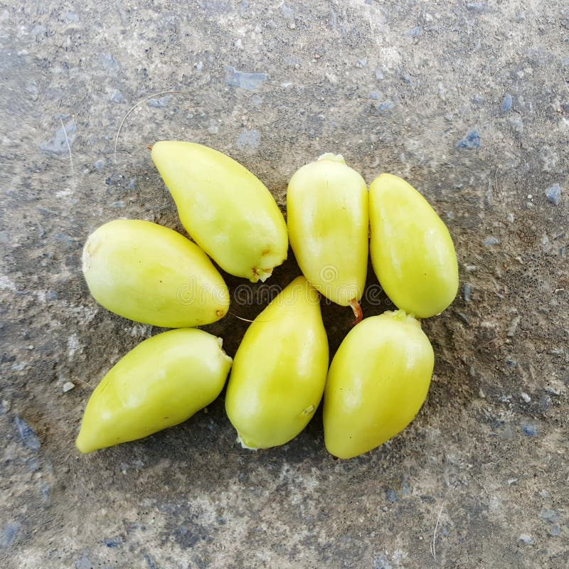 Small chili peppers stock photo. Image of healthy, herb - 31778156