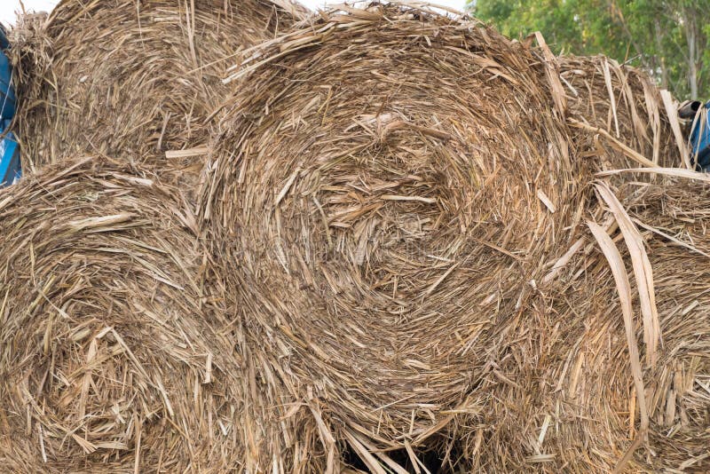 Stack of Straw in the Field. Stock Image - Image of cloud, harvest ...
