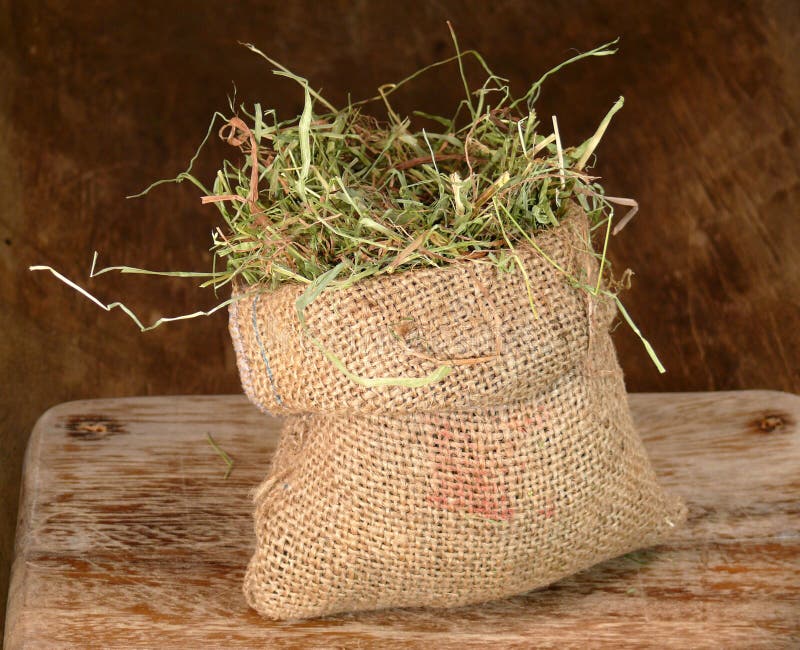 Easter hay stock photo. Image of eastern, haymaking, dried - 30090208