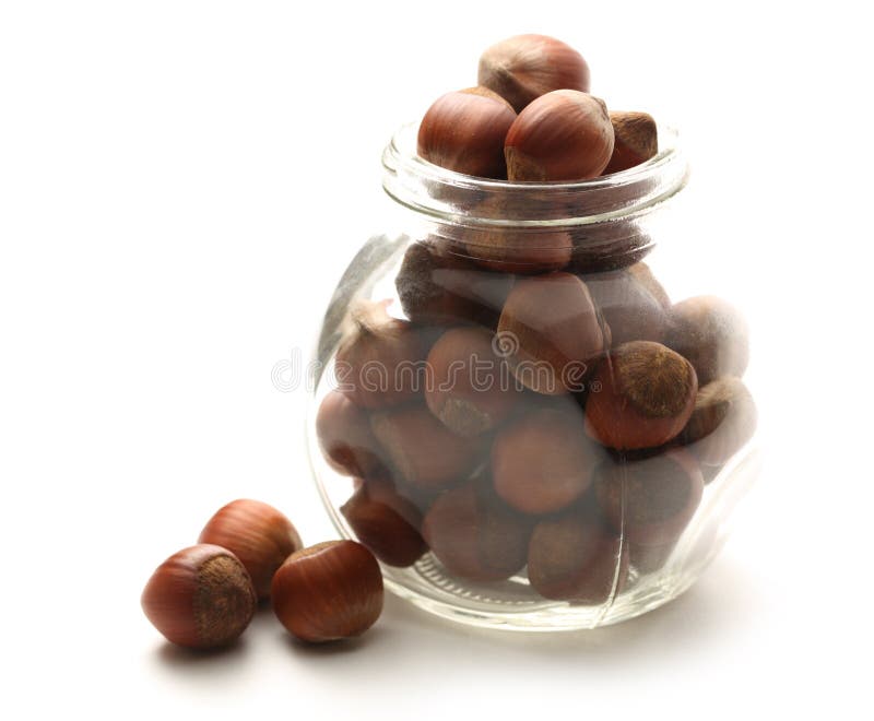 Fresh hazelnuts stock photo. Image of shell, edible, hazel - 34011846