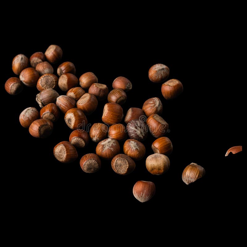 Fresh Hazelnuts are Scattered on a Clean White Background, Highlighting ...