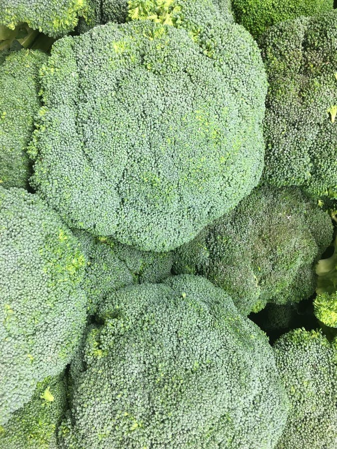 Bunched Up Together Stock Photos - Free & Royalty-Free Stock Photos ...