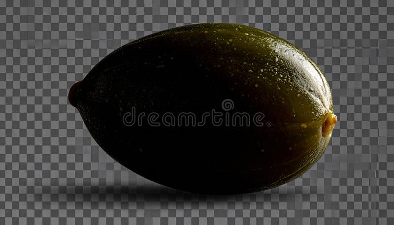 Fresh Healthy Caper Berry Isolated Stock Illustration - Illustration of ...