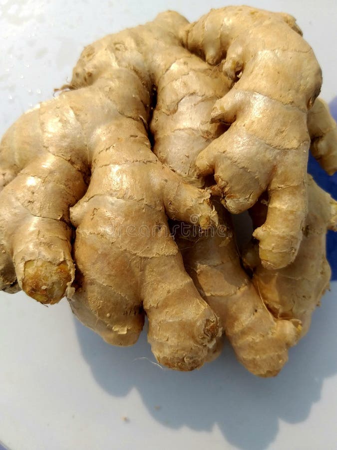 Fresh and Healthy Ginger in the Plate Stock Image - Image of vitamin ...