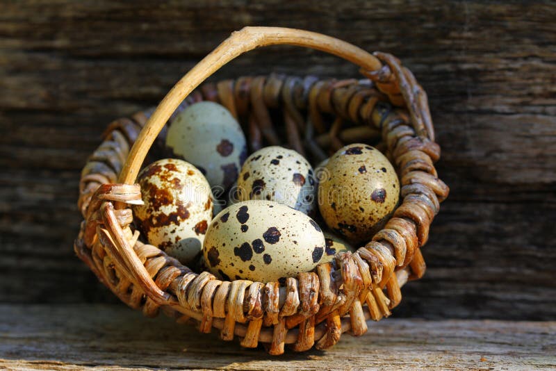 Fresh, Healthy Quail Eggs in the Cornucopia. Stock Image - Image of ...