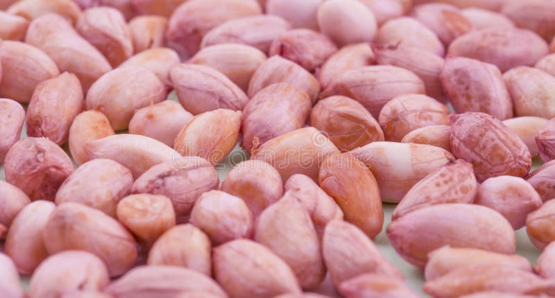 Raw Peanuts stock image. Image of harvest, micro, kacchi - 105606479