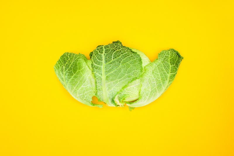 Fresh Healthy Savoy Cabbage Isolated on Yellow Stock Image - Image of ...
