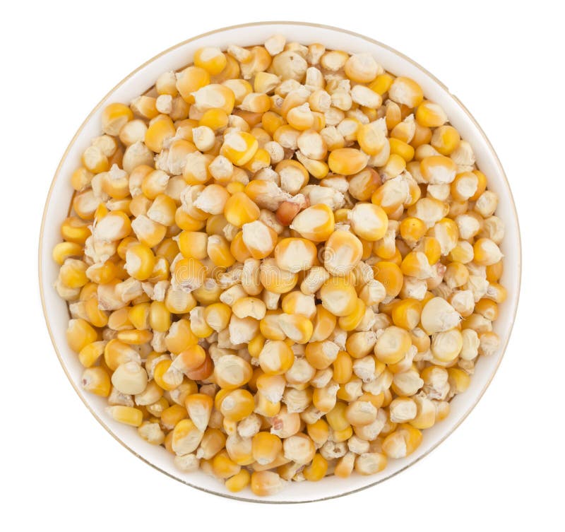 Sweet Corn Seed stock photo. Image of natural, diet - 105603820