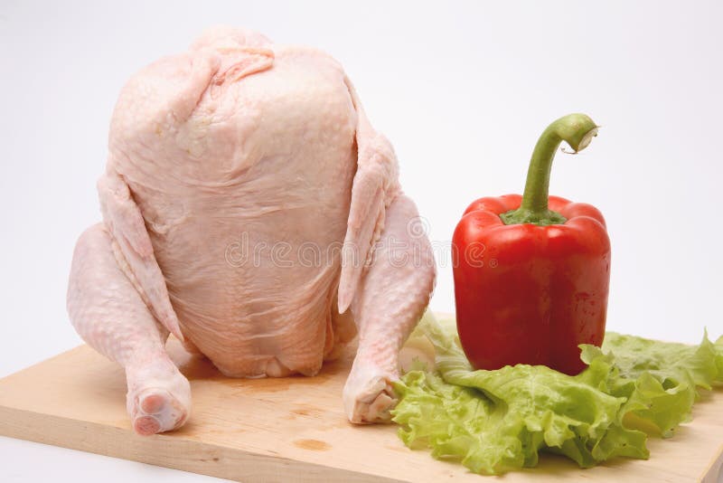 Fresh hen stock image. Image of sheet, bird, product, fresh - 9141927
