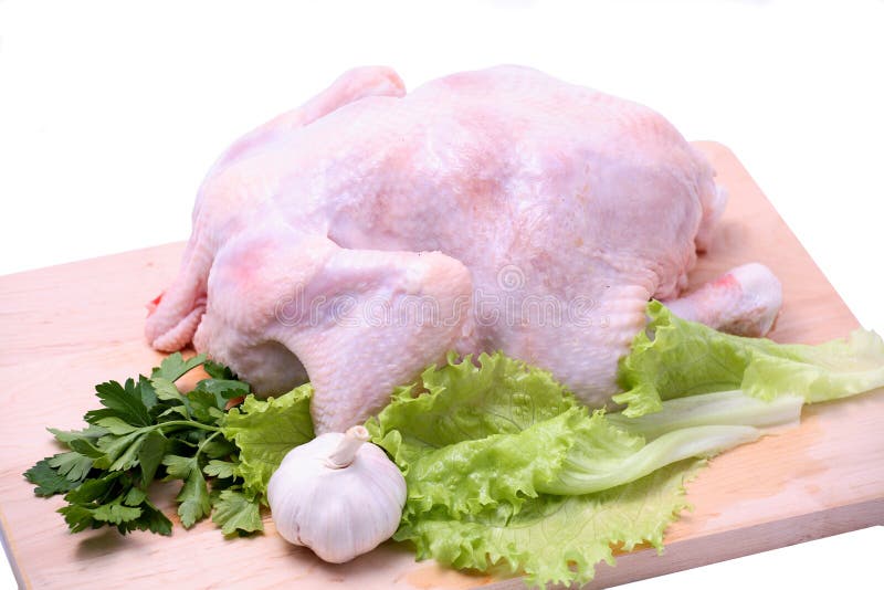 Fresh chicken-broiler stock image. Image of meat, skin - 9124465