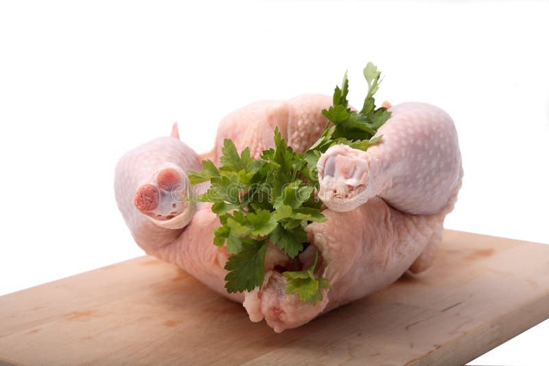 Fresh hen stock image. Image of nutrition, close, peeping - 9770043
