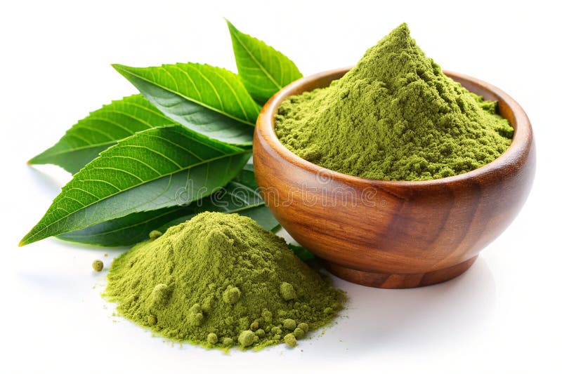 Fresh Henna Leaves and Powder on White Background Stock Illustration ...