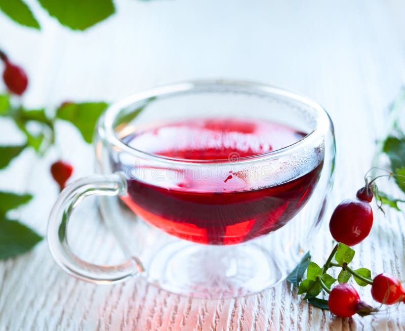 Fresh herbal rose hip tea stock photo. Image of aromatherapy - 238621962