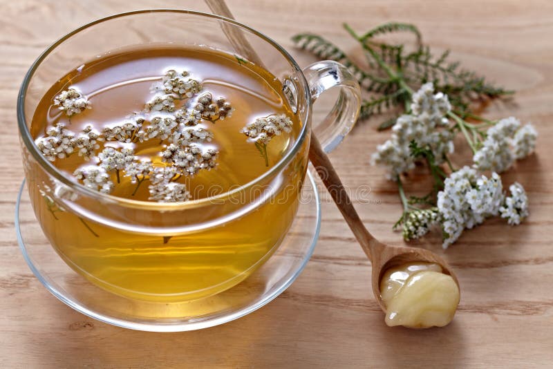 Dill tea stock photo. Image of fresh, petals, calm, nature - 44871648