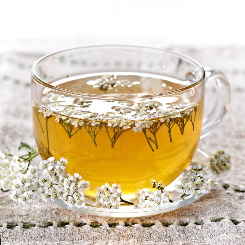 Fresh herbal tea stock photo. Image of flower, fresh - 21419156