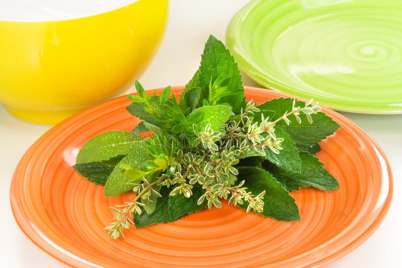 Fresh Herbs stock image. Image of bunch, ingredient, fresh - 19674849