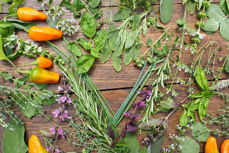 Fresh herbs stock photo. Image of overhead, colorful - 38459754