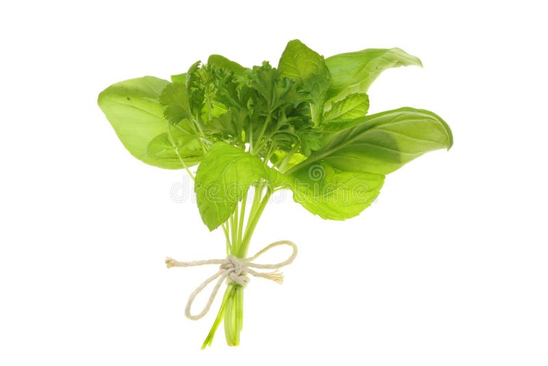 Fresh herbs stock image. Image of sprig, basil, string - 9707589