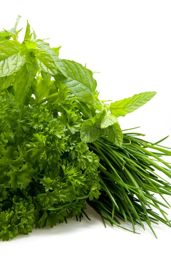 Fresh herbs and spices stock image. Image of grains, variety - 8861837