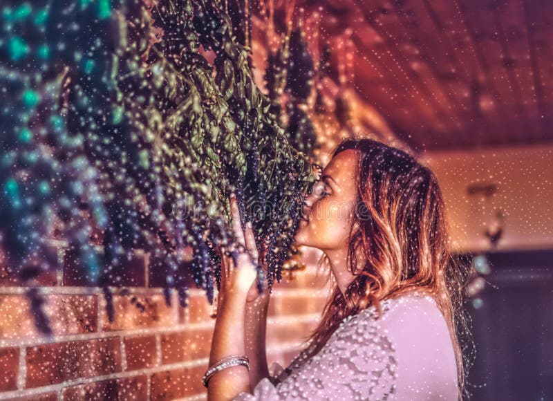 Fresh Herbs Drying and Hanging on the Wall. Magic Light Effect. Stock ...