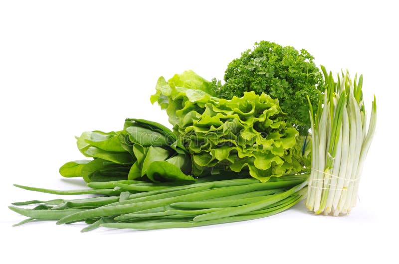 Fresh herbs stock image. Image of studio, herbal, thyme - 262378637