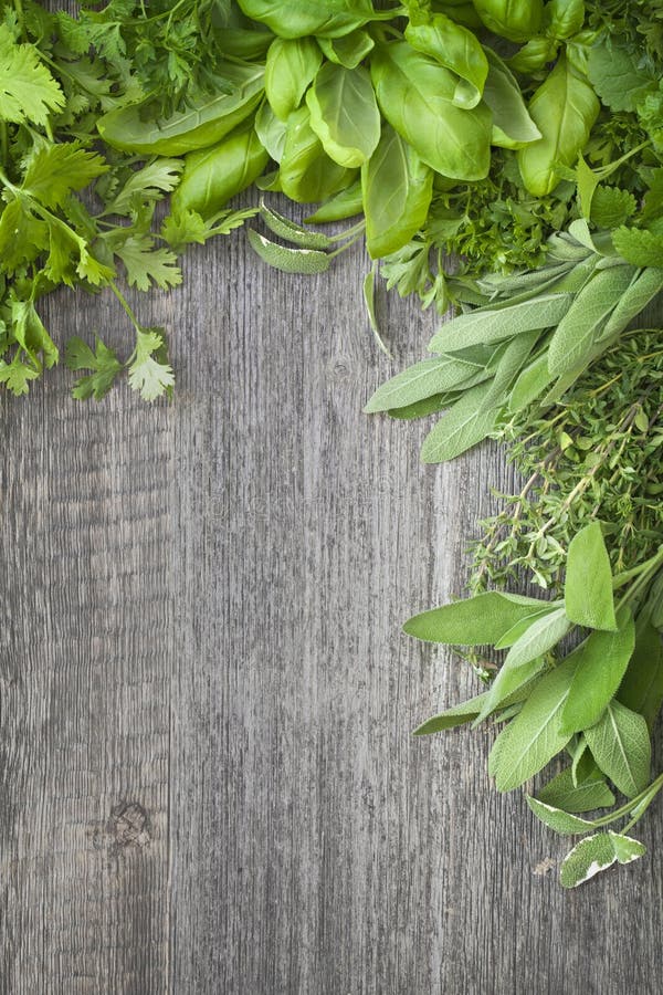 Fresh herbs stock image. Image of background, green, bunch - 22756277