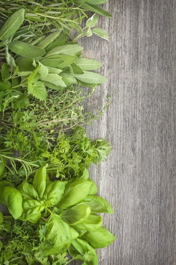 Fresh herbs stock image. Image of background, green, bunch - 22756277
