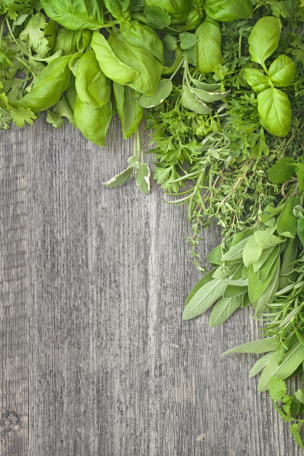 Fresh herbs stock image. Image of background, green, bunch - 22756277