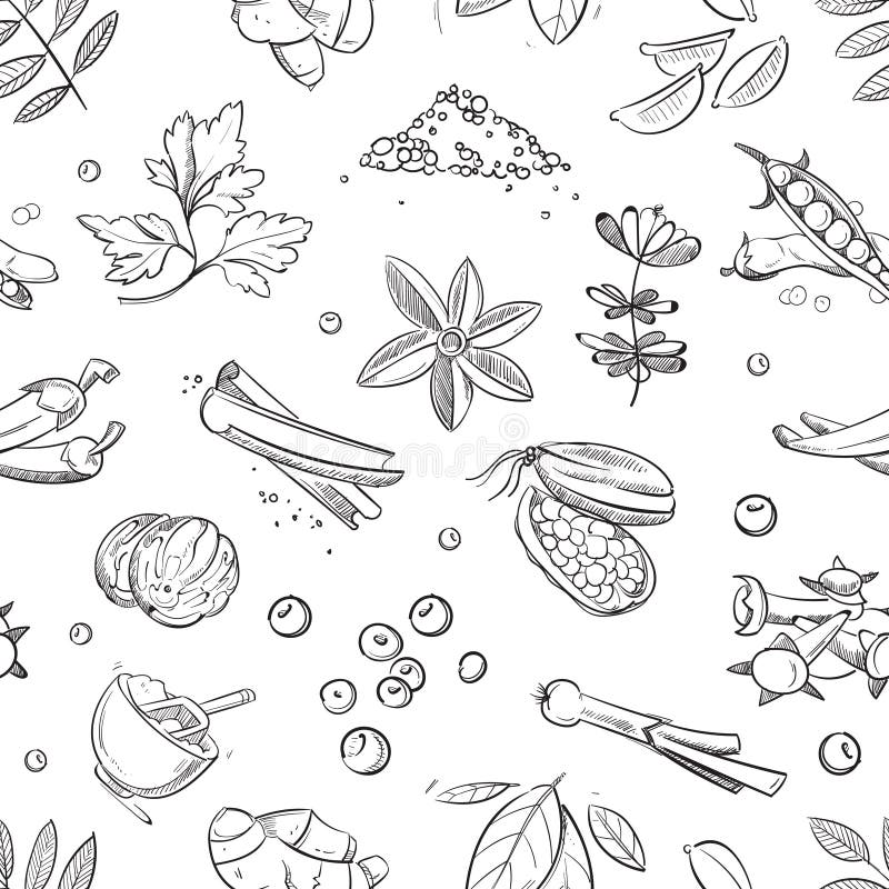Fresh Herbs and Spices Doodle Hand Drawn Vector Seamless Pattern Stock ...