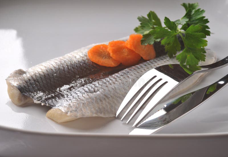 Fresh herring fillet stock photo. Image of plate, diet - 28100004