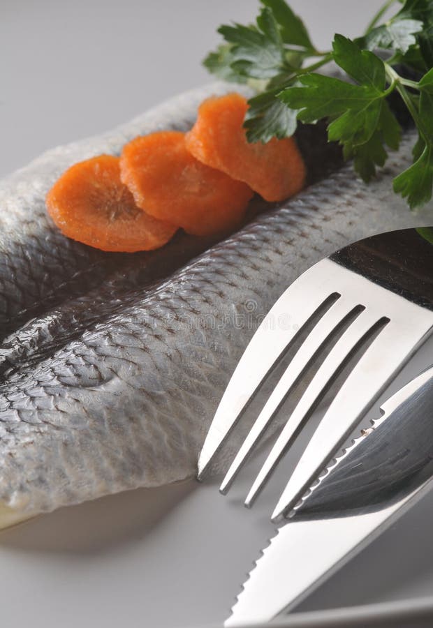 Fresh herring fillet stock image. Image of fillet, herring - 28100121