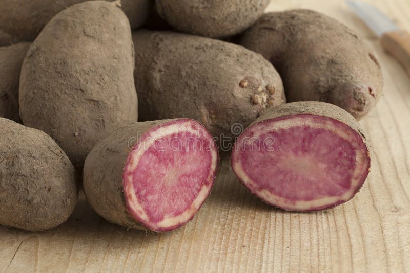 Fresh Highland Burgundy Red Potatoes Stock Image - Image of tuberosum ...