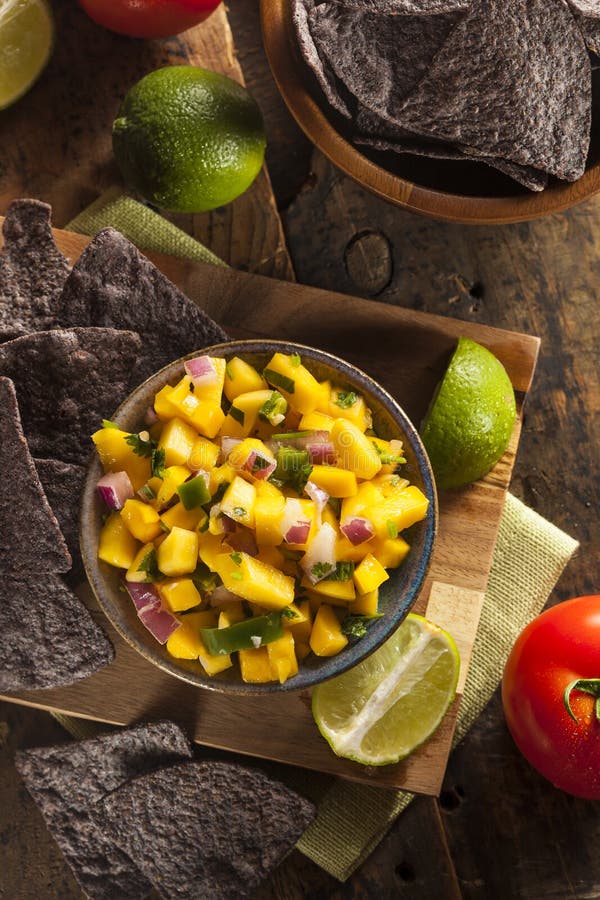 Fresh Homemade Mango Salsa stock image. Image of green - 38789885