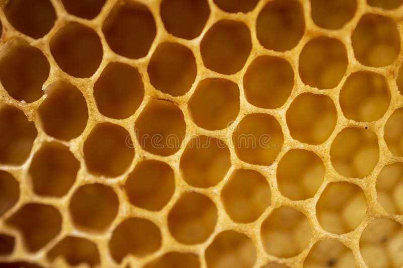 Fresh Honey Comb Forming a Beautiful Texture Pattern Background Stock ...