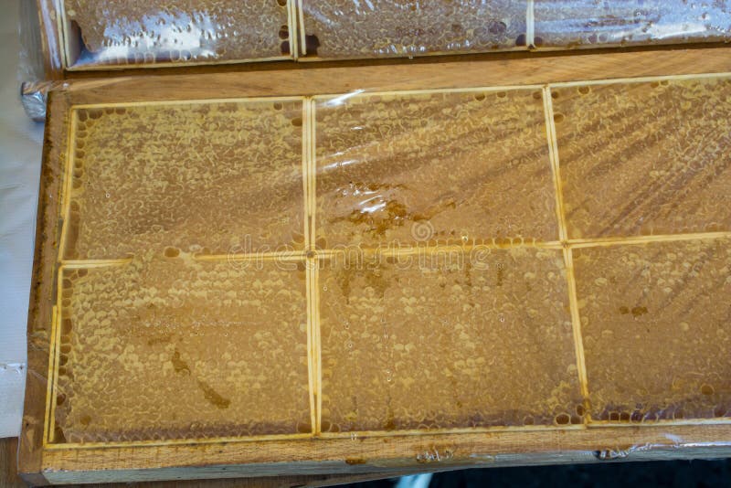 Fresh Honey in the Sealed Comb Frame Stock Photo - Image of color ...