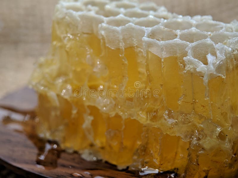 Fresh honeycomb close up. stock image. Image of floral - 164010019