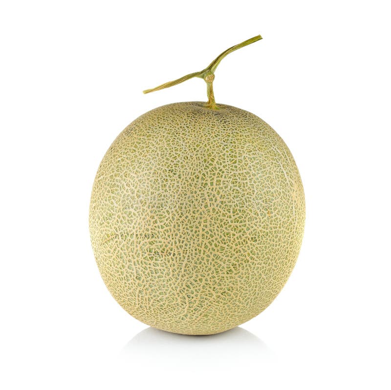 Fresh Honeydew Melon on White Background Stock Photo - Image of texture ...
